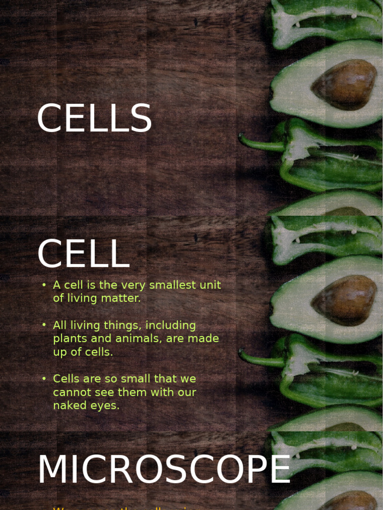 Cells | PDF
