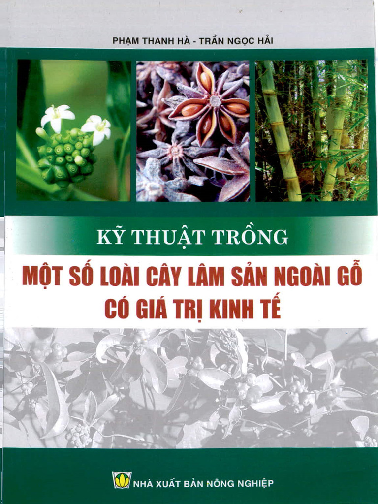 Ky Thuat Trong Mot So Loai Cay Lam San Ngoai Go Co Gia Tri Kinh Te | PDF