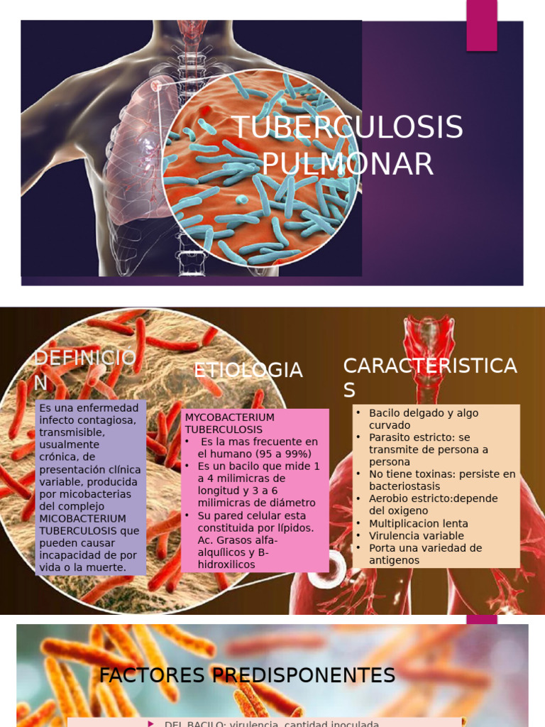 TBC Pulmonar | PDF