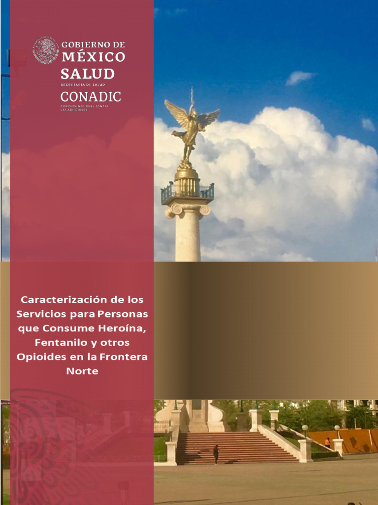Estudio Caracterizaci N de Servicios M Xico | PDF