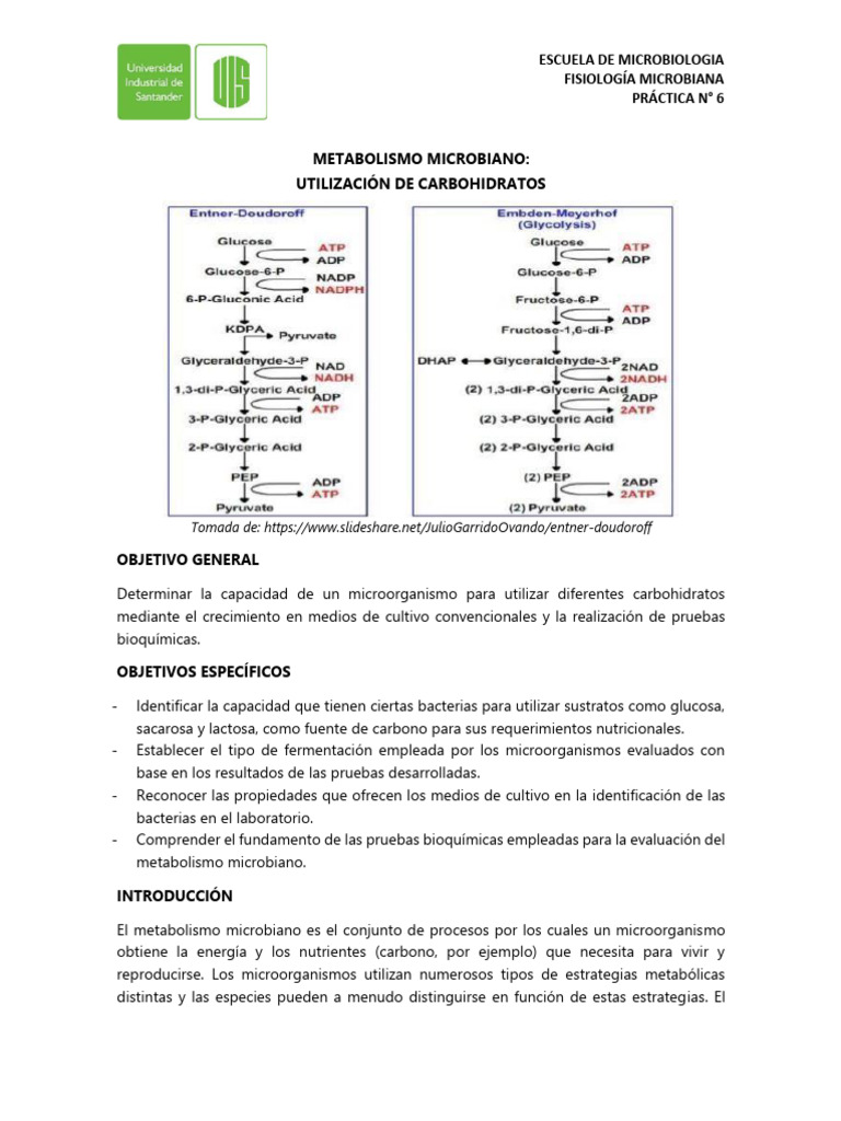 Httpstic - Uis.edu - Coavapluginfile.php3226289mod Resourcecontent1guia Utilizacion CHOs2028229 ...