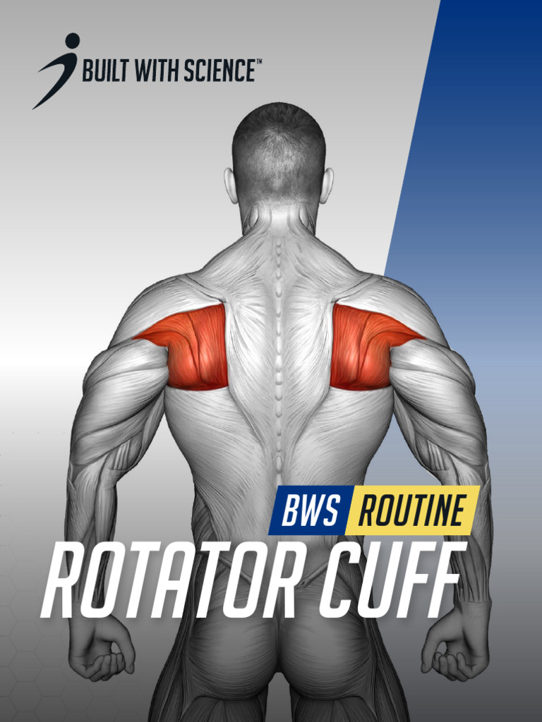 Rotator Cuff | PDF