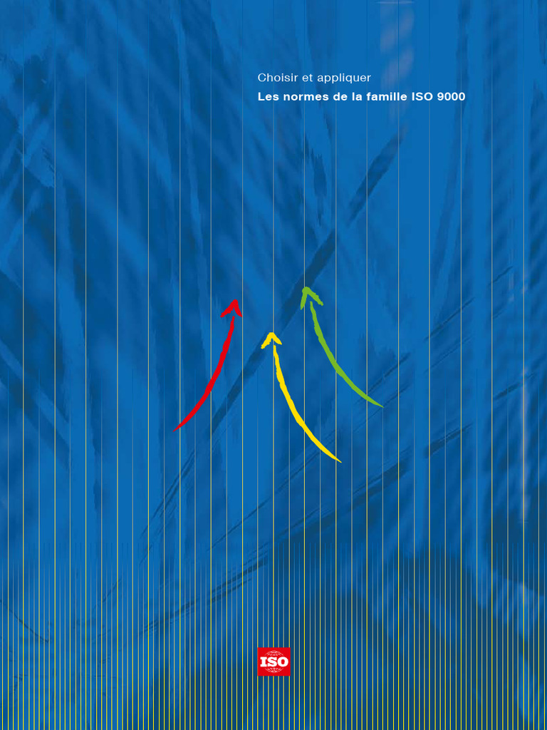 Iso 9000 Selection and Use-2009 | PDF