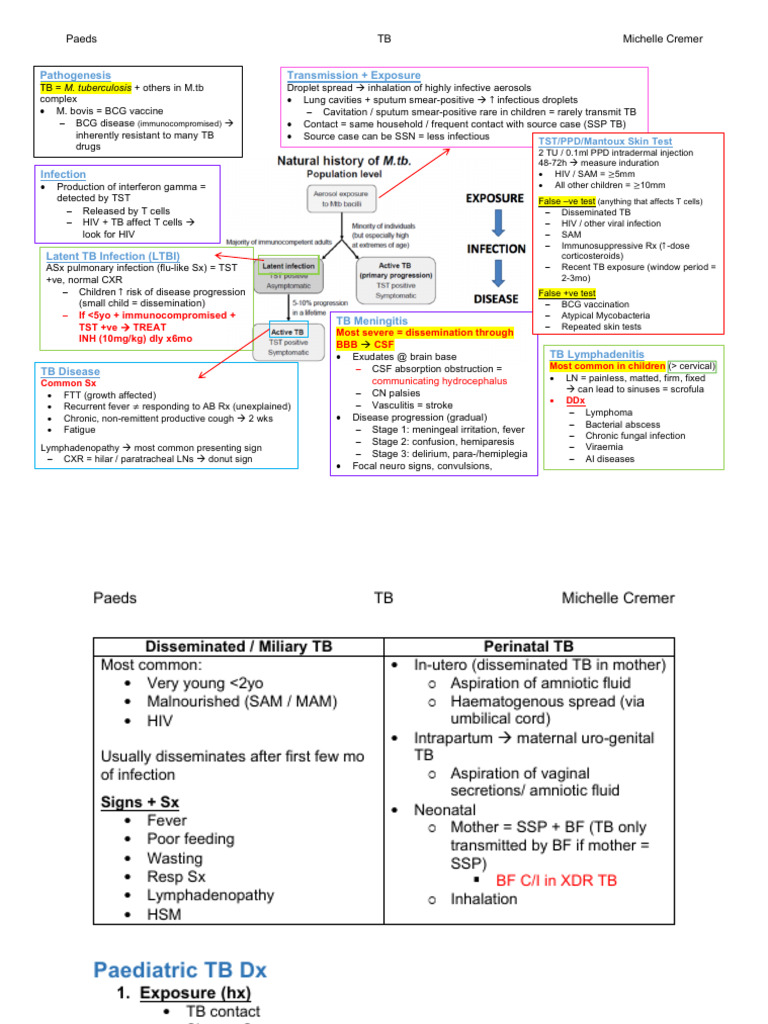 Paeds - TB Summary | PDF