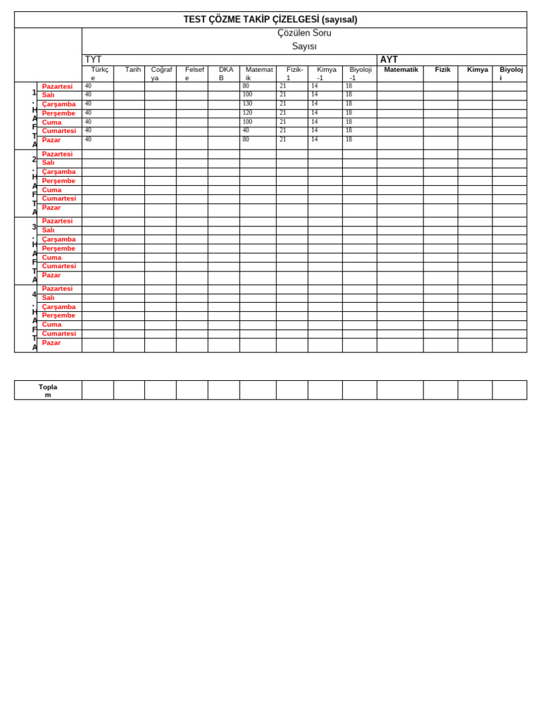 11.sınıf Yaz Takip | PDF