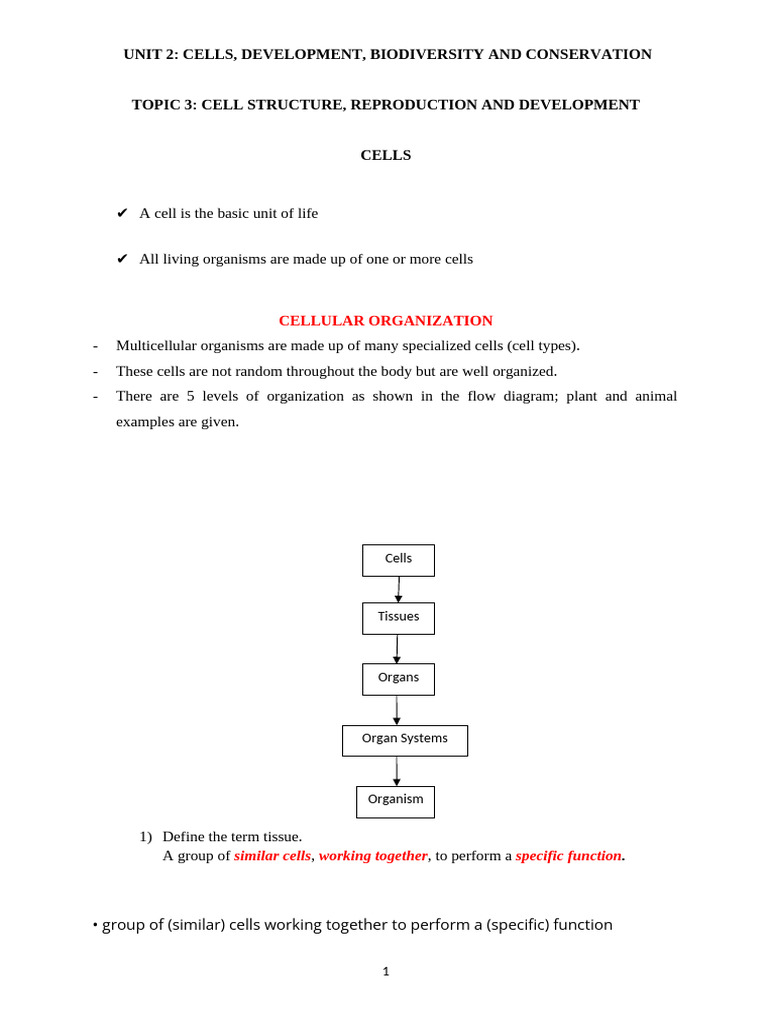 Unit 2 Topic 3 | PDF