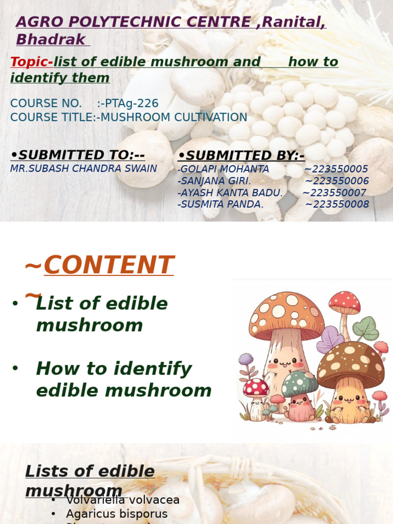 Edible Mushroom | PDF