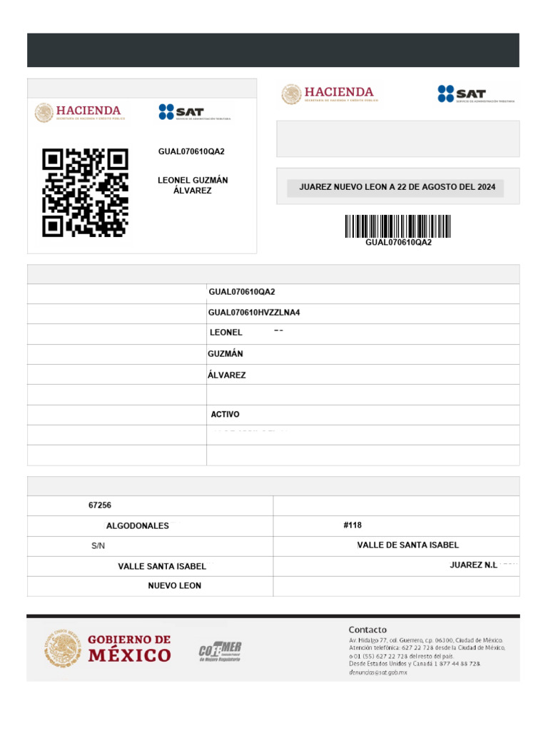 Constancia Leonel 2024 | PDF