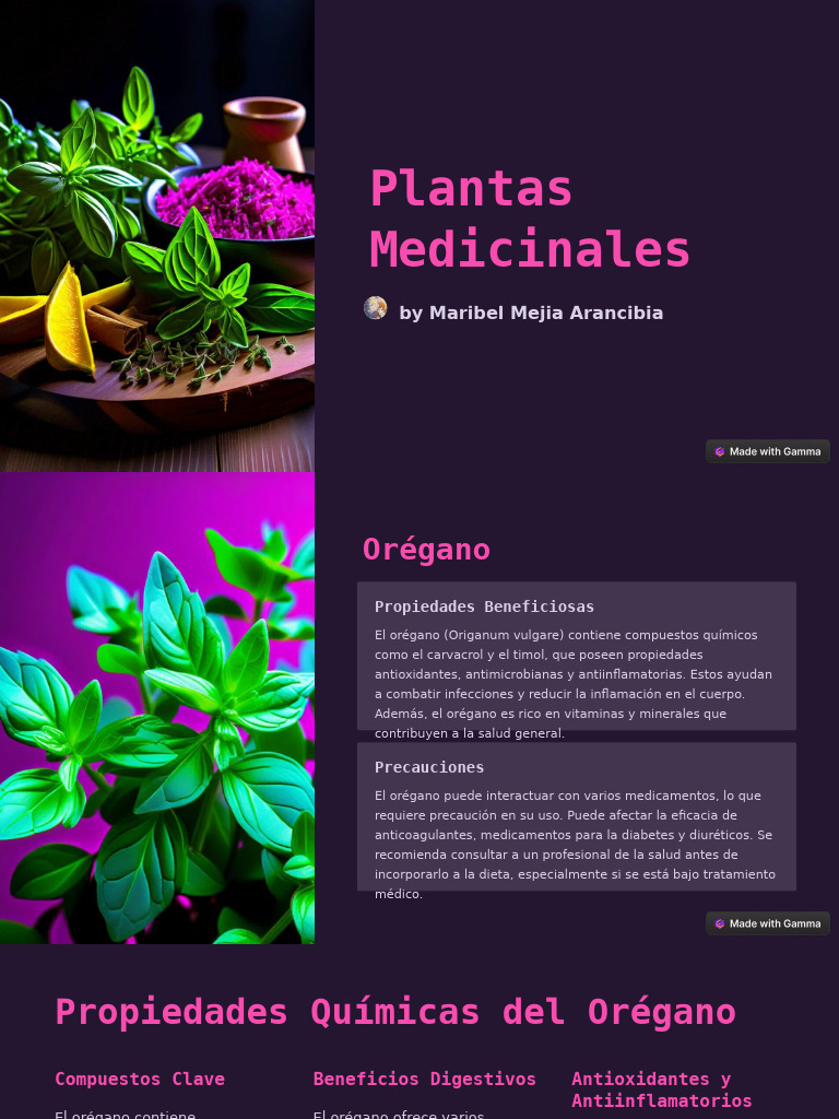 Plantas Medicinales Pdf