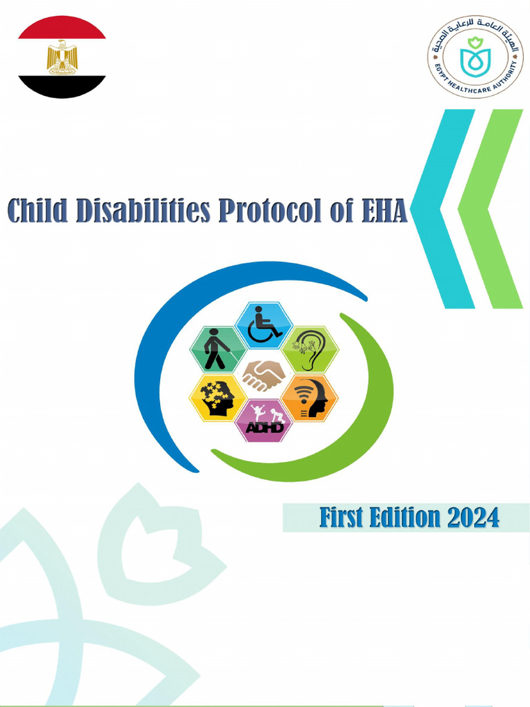Child Disability Protocol Final Version 2024 | PDF