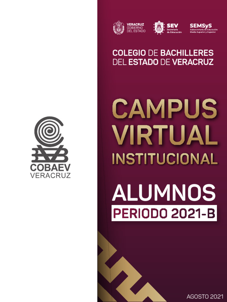 Manual Moodle Estudiante | PDF