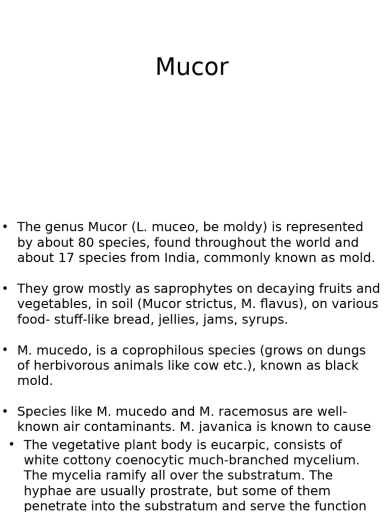 Mucor | PDF