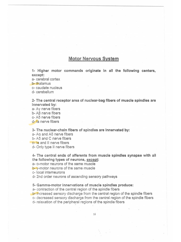 Questions of Motor | PDF