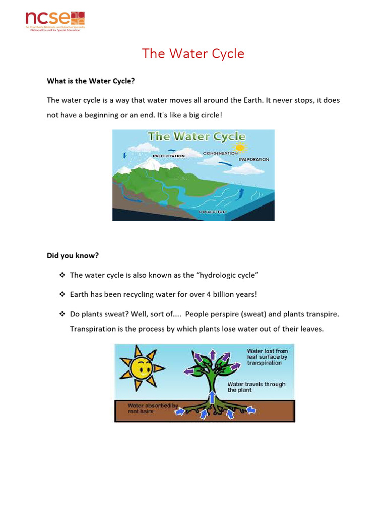 The Water Cycle | PDF