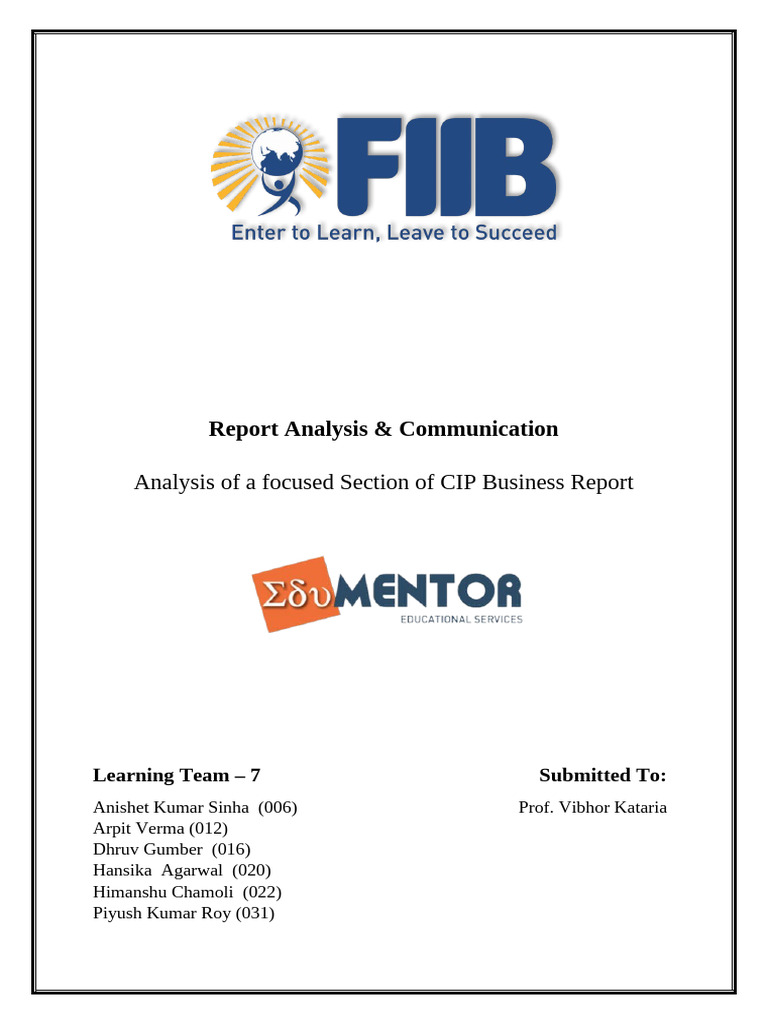Learning Team 7 RAC Report | PDF | Market Segmentation | Business