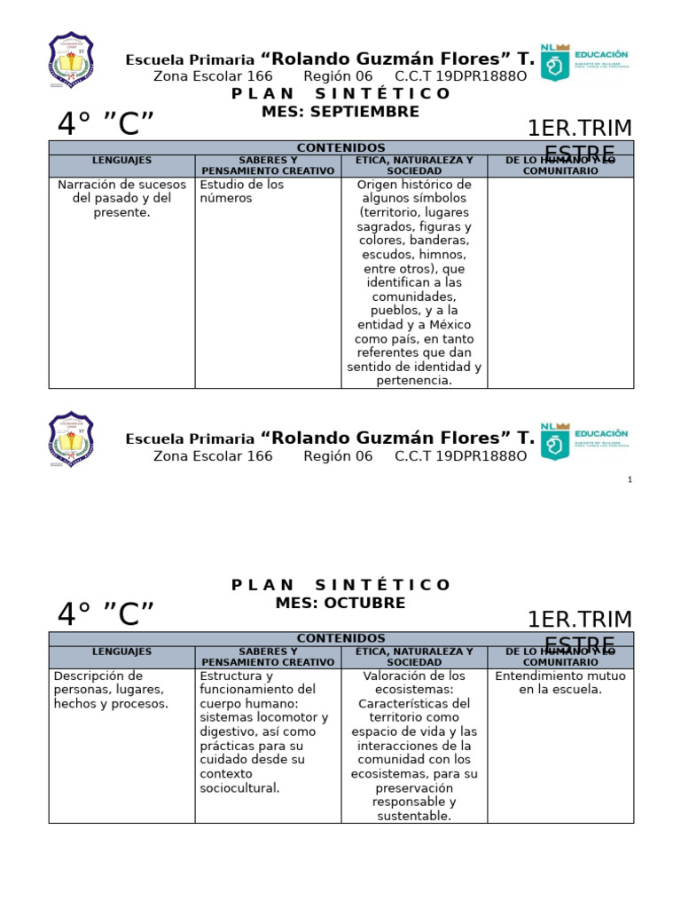 Plan Sintético | PDF