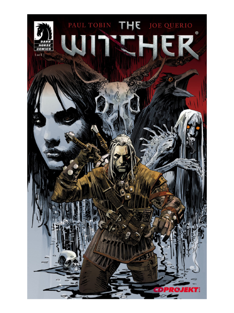 The Witcher 01 - 05 End | PDF
