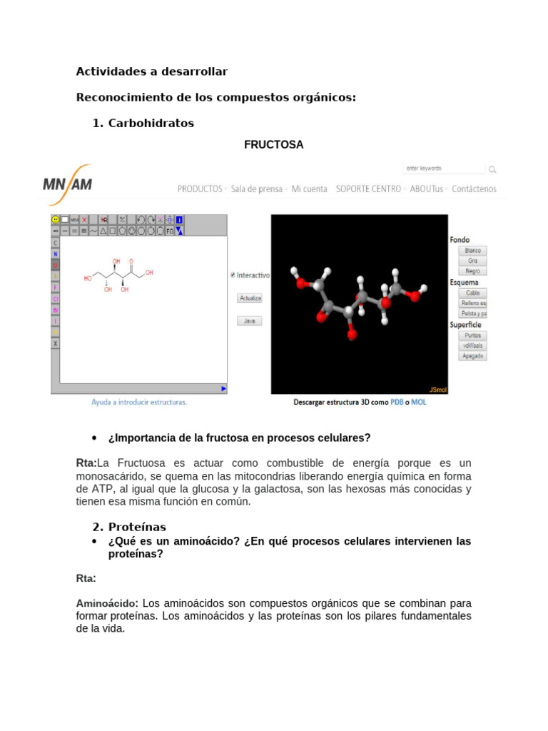 Paso 2.Reconocer la importancia de los compuestos orgánicos en la ...