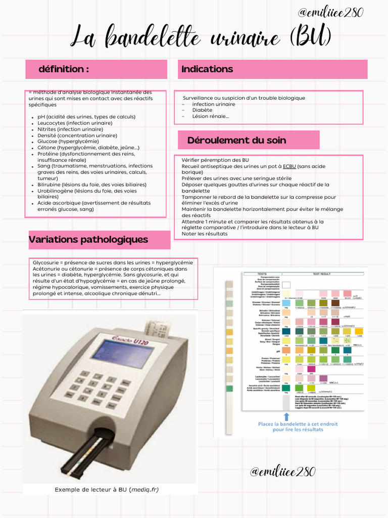 La Bandelette Urinaire (BU) : Définition: Indications | PDF