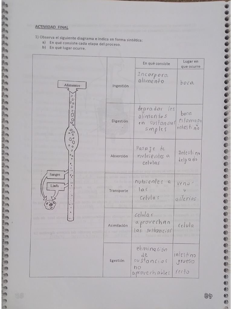 Image To PDF 25-Jun-2024-1 | PDF