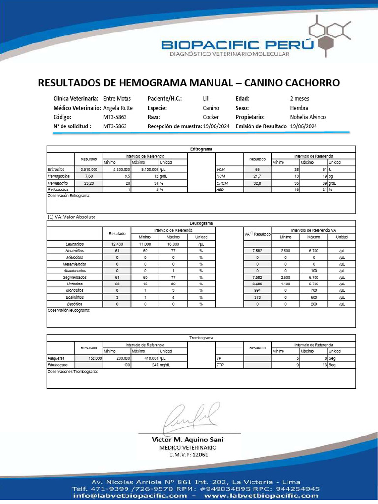 Mt3-5863 Lili - Hematología Manual Caninos Cachorros | PDF