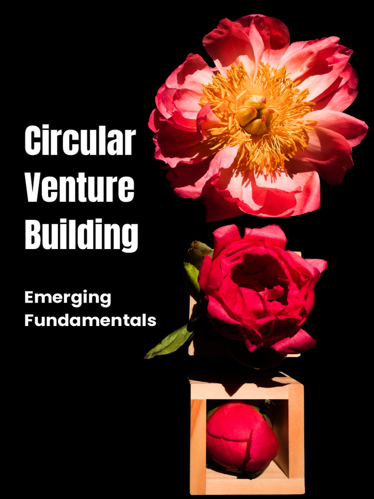 Circular Venture Building Emerging Fundamentals Invest NL 2024 | PDF