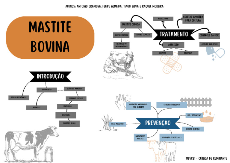 Mastite Bovina | PDF