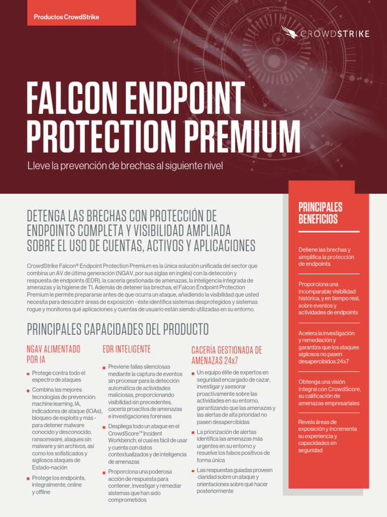 Falcon Premium Data Sheet Latam | PDF