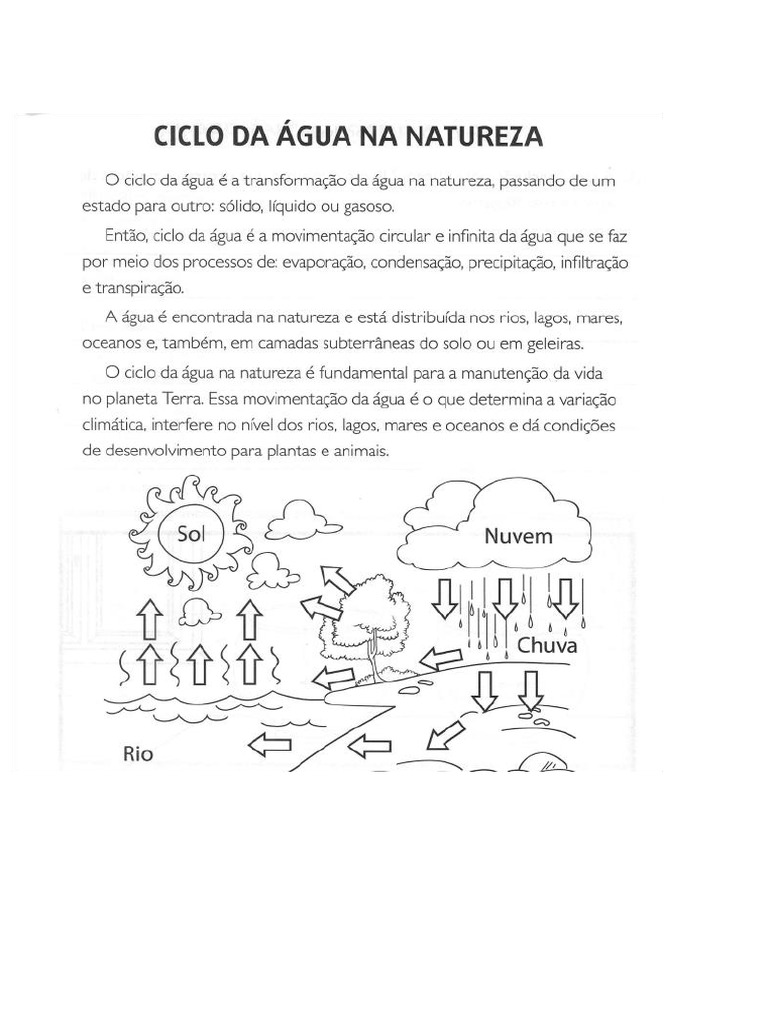 Ciclo Da Água | PDF