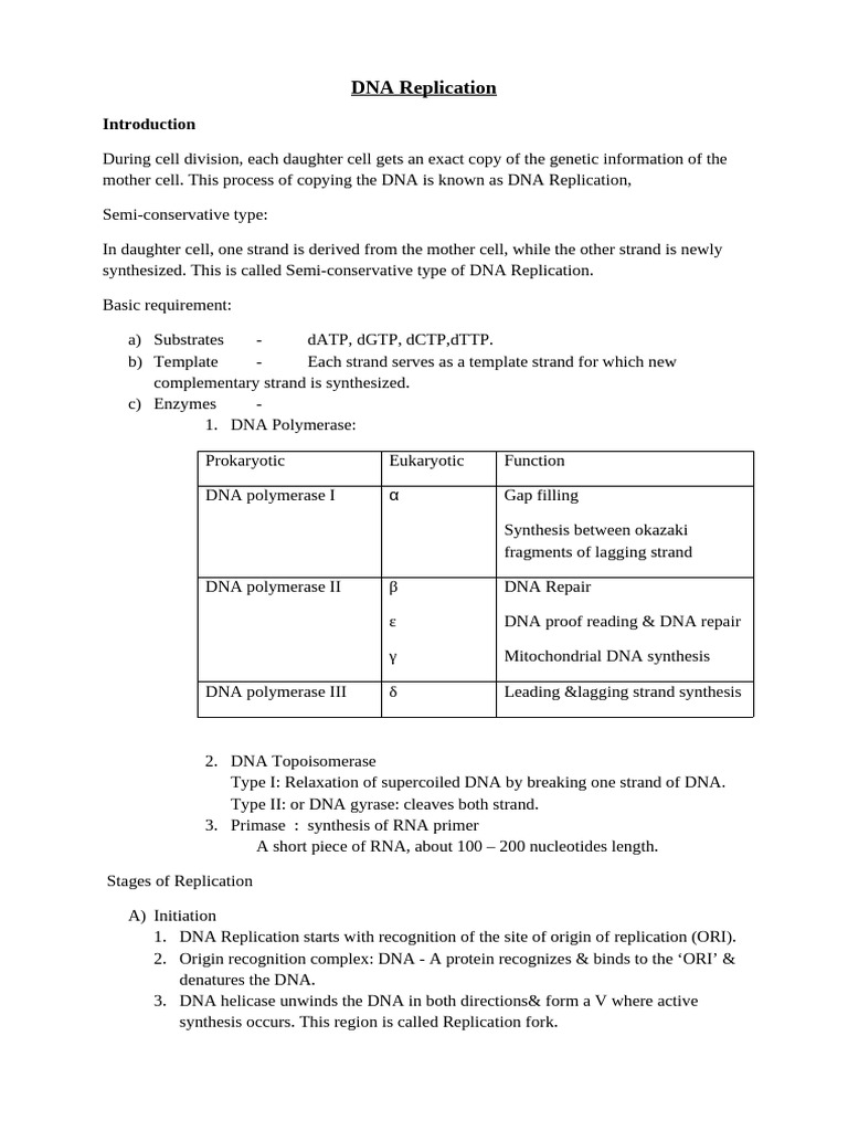 DNA Replication | PDF