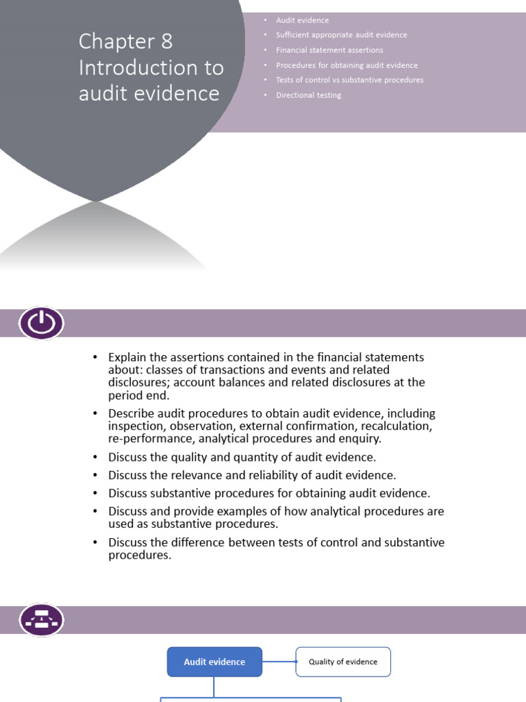 Chapter 8 - Audit Evidence | PDF