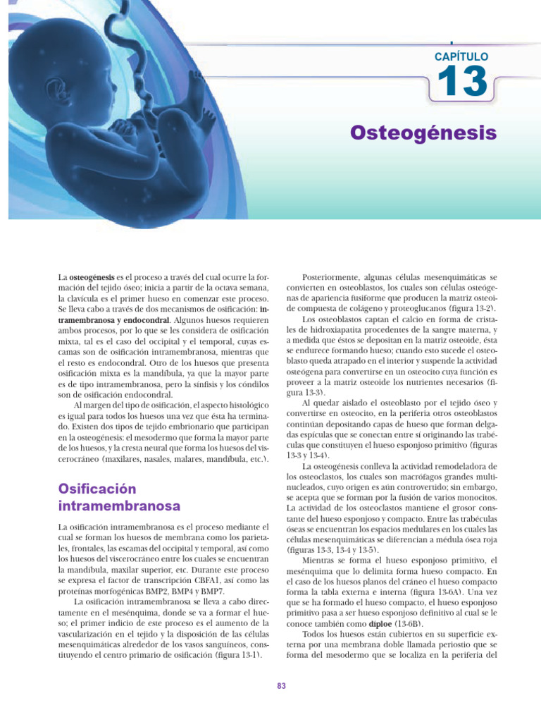 EMBRIOLOGIA OSTEOGENESIS | PDF