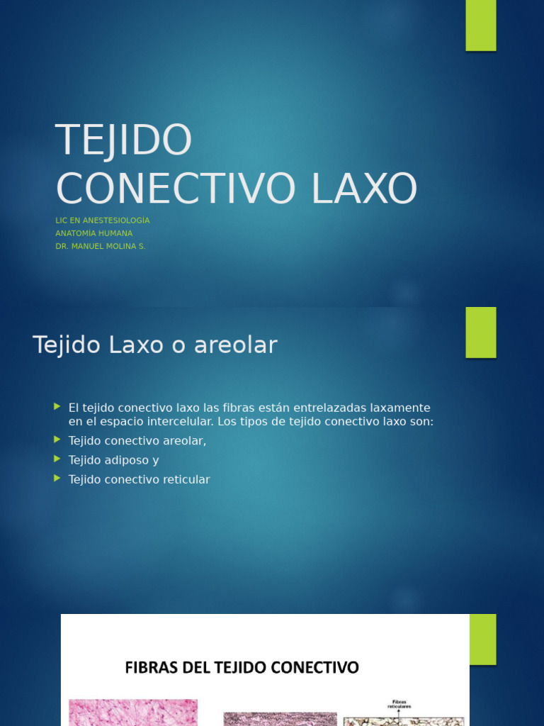 Tejido Conectivo Laxo 2.2 Anestesia 2022 | PDF