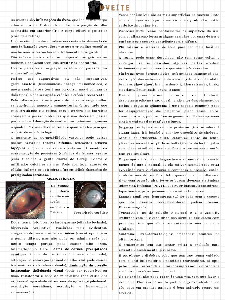 Uveíte | PDF
