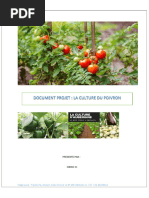 Projet D'élevage de Poulet de Chair | PDF