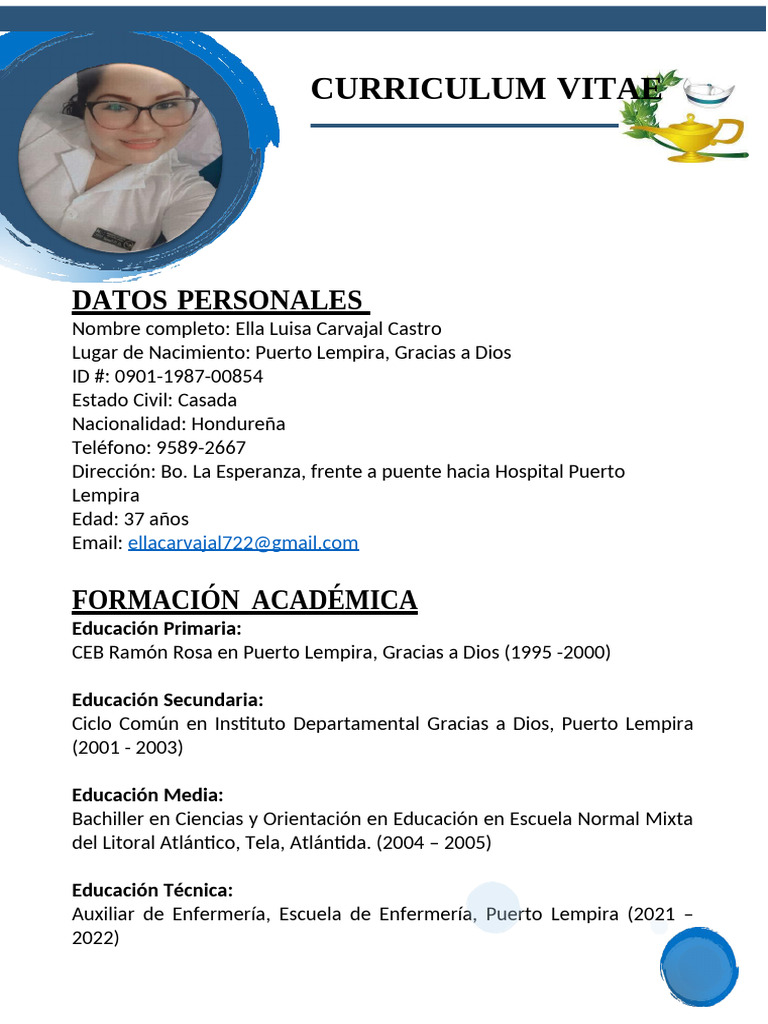 Curriculum Vitae - 2024 | PDF