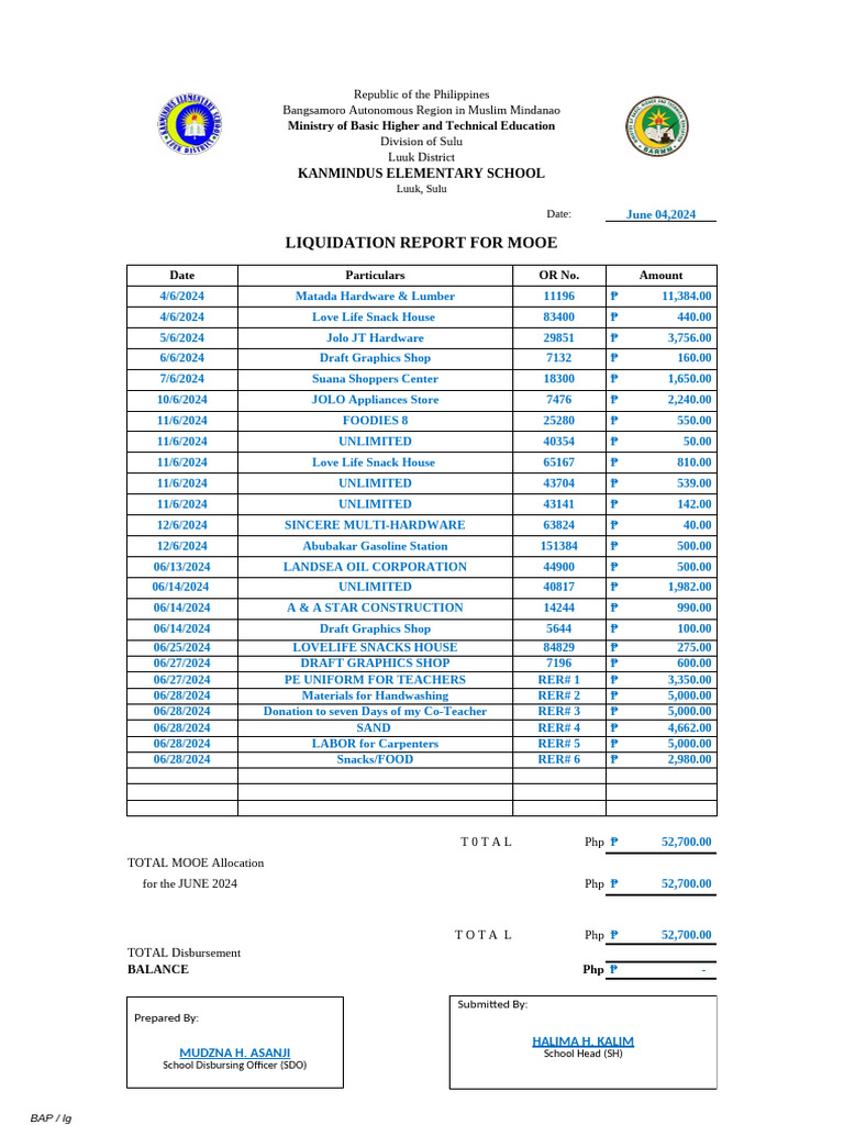 AUTOMATED MOOE - Liquidation Report | PDF
