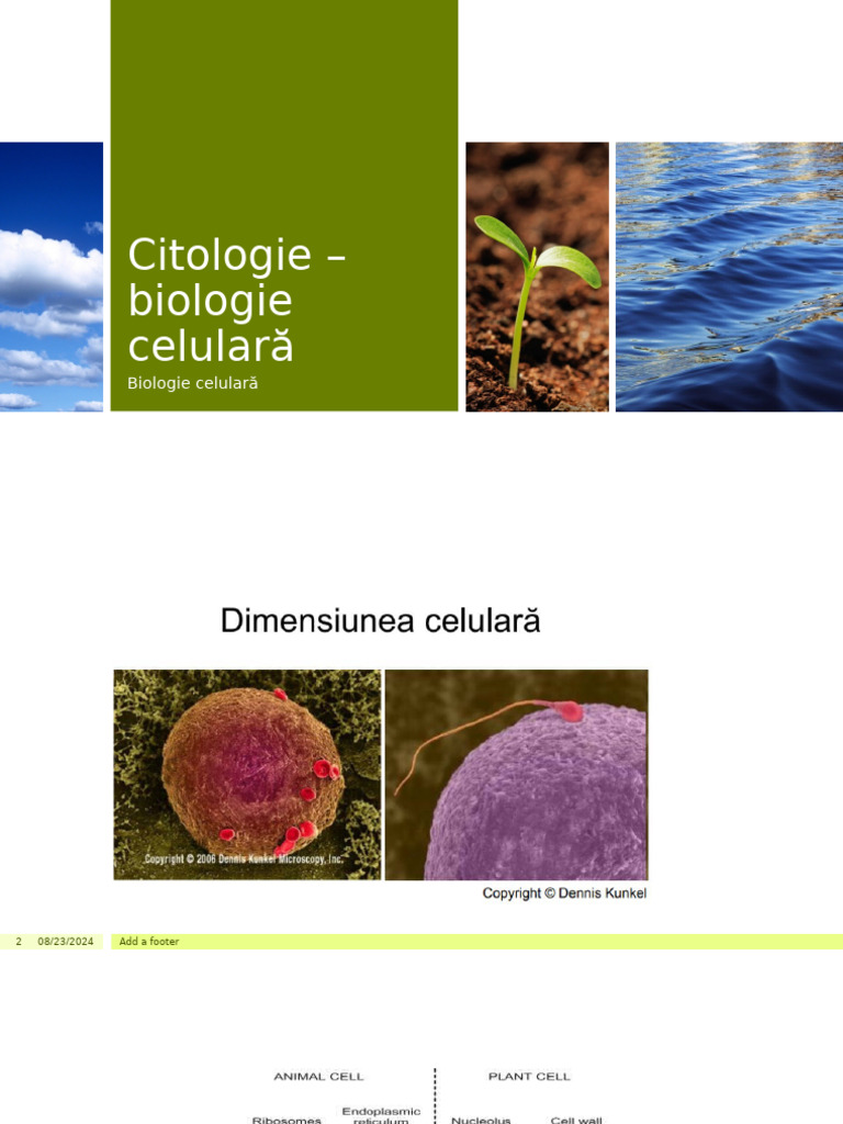 Citologie - Biologie Celulară | PDF