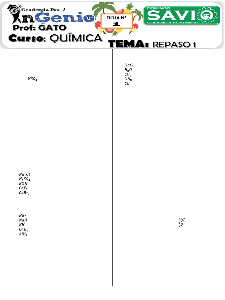 Ficha 1 Domingo Savio | PDF