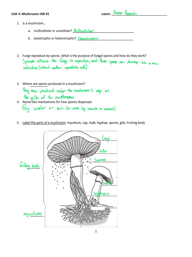 Fungi HW #1 | PDF