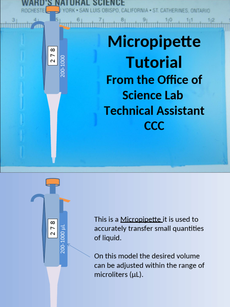 Pipette Tutorial | PDF