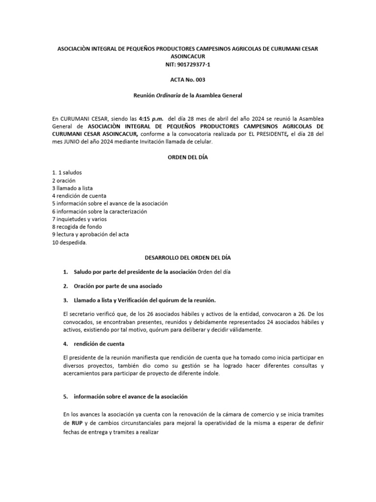 Acta Ordinara 003 Asoincacur | PDF