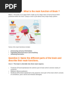 Class 5-Science Notes-The Nervous System | PDF | Brain | Nerve