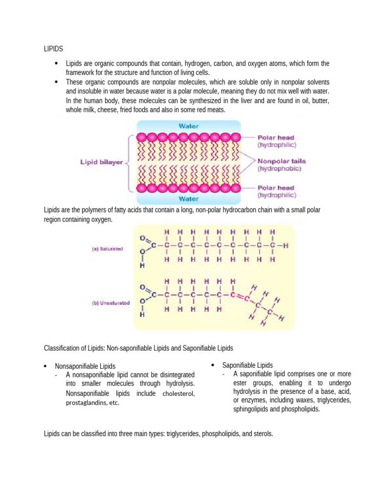 LIPIDS Notes | PDF