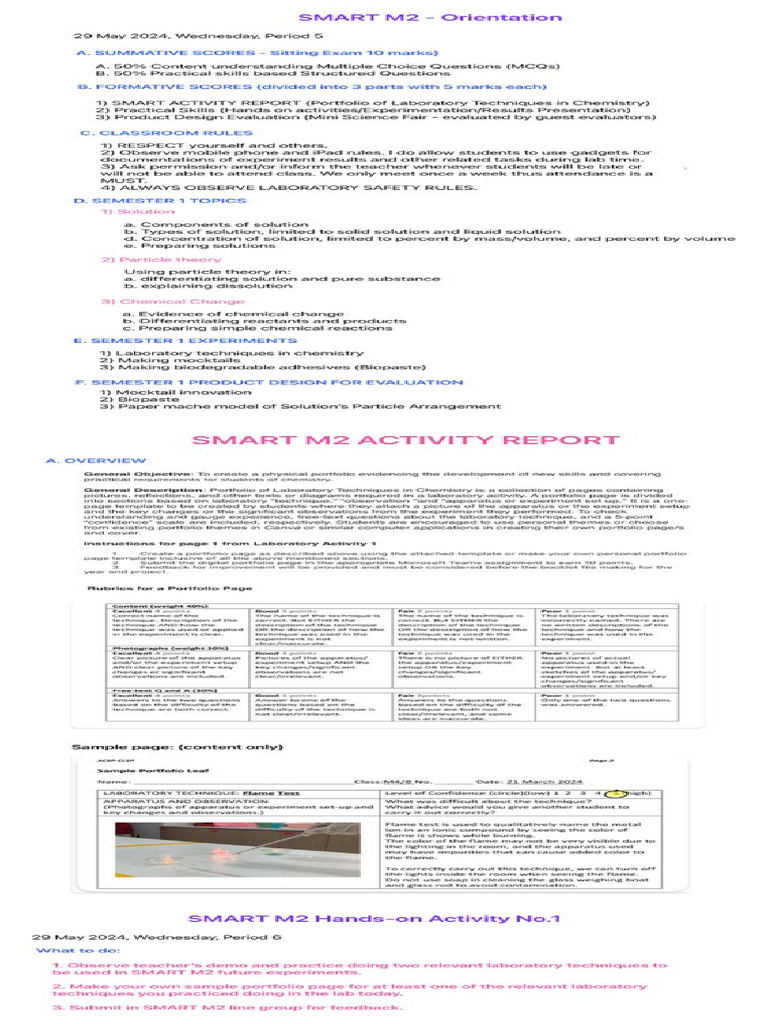 M2.SMART Orientation and Activity 1 | PDF