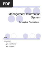 Structure of MIS | PDF | Management Information System | Software