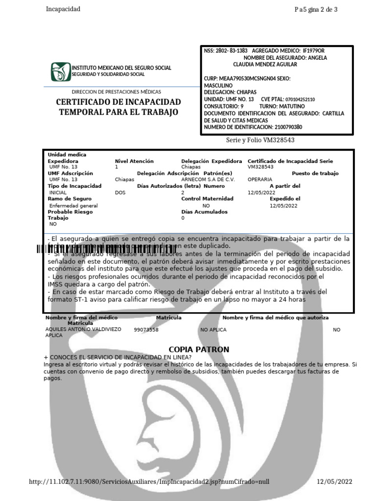 Incapacidad Imss Editable | PDF