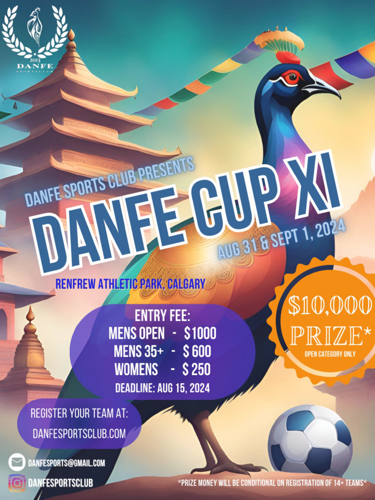 Danfe Cup Xi | PDF