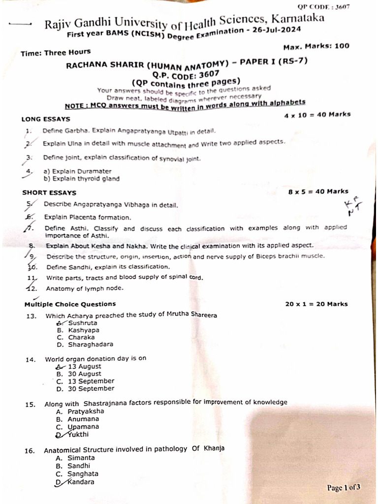 Anatomy Pyq Paper 2024 South | PDF