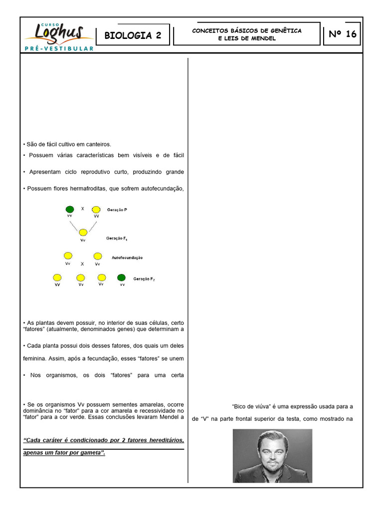 GC BIO2 FIX 16 CONCEITOS BaSICOS DE GENeTICA E LEIS DE MENDEL | PDF GC BIO2 FIX 16 CONCEITOS BaSICOS DE GENeTICA E LEIS DE MENDEL | PDF